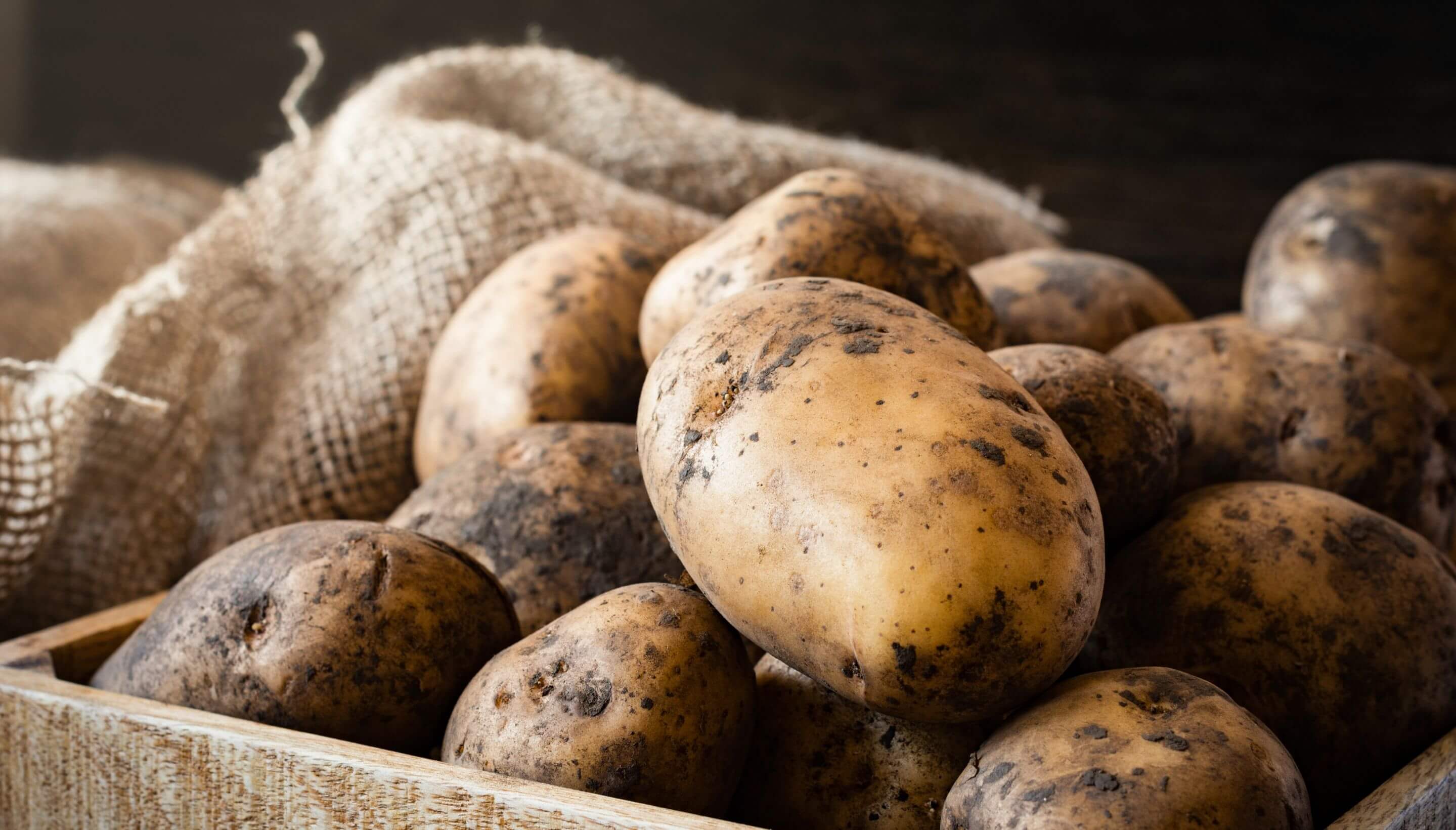 Theatre Preview // SPUD! / The Lyric Theatre | PastieBap.com